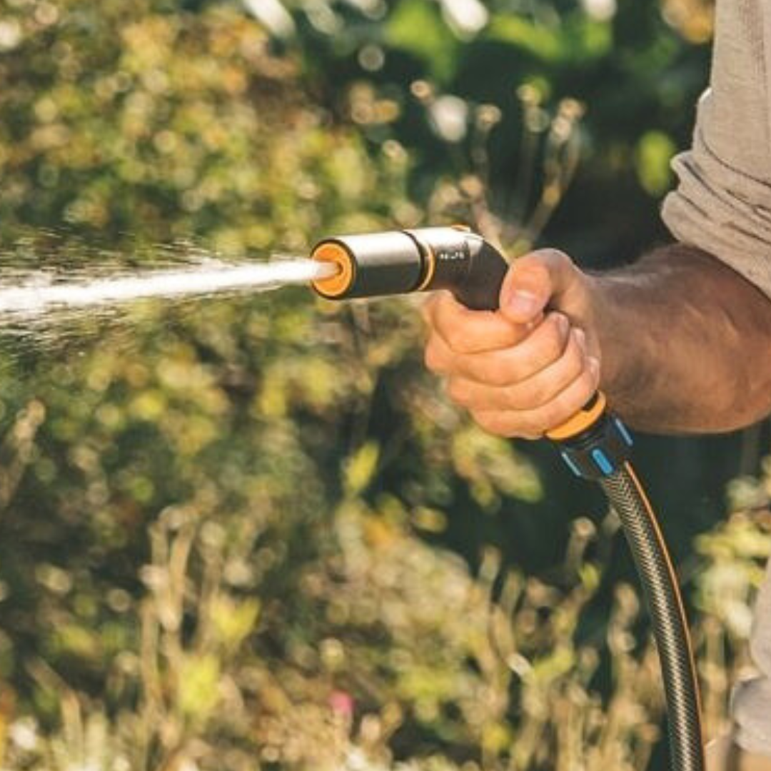Slangur & Tilhoyr – Thomas Dam á Hálsi