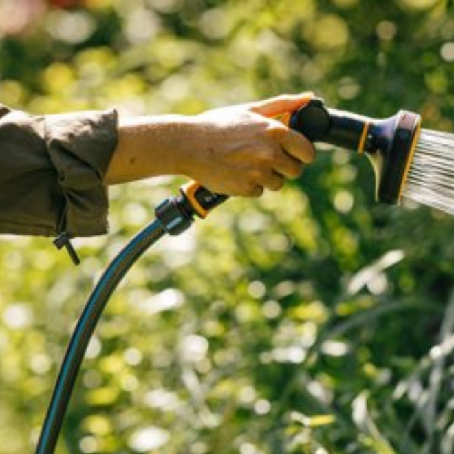 Slangur & Tilhoyr – Thomas Dam á Hálsi